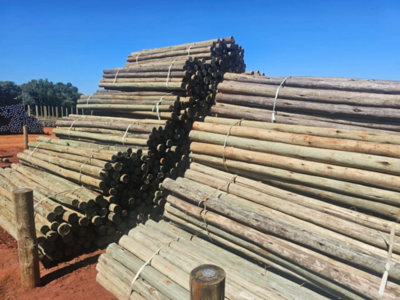 Buy CCA Poles | Poles, Laths, Droppers, Dunnage Supplier | Garden ...