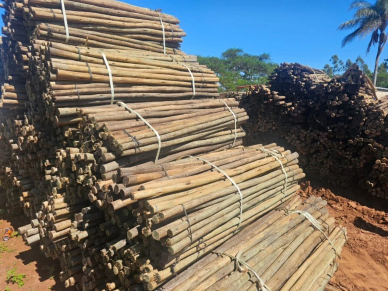 Buy CCA Poles | Poles, Laths, Droppers, Dunnage Supplier | Garden ...