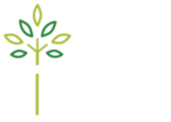 Buy CCA Poles | Poles, Laths, Droppers, Dunnage Supplier | Garden ...